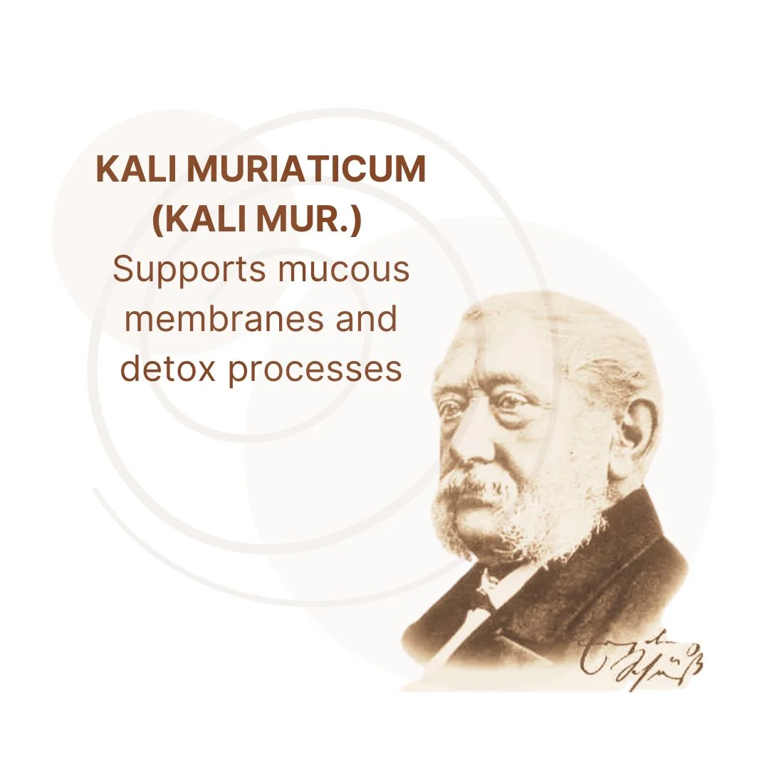 KALI MURIATICUM (KALI MUR.) – THE REMEDY FOR MUCUS, DETOXIFICATION, AND ...